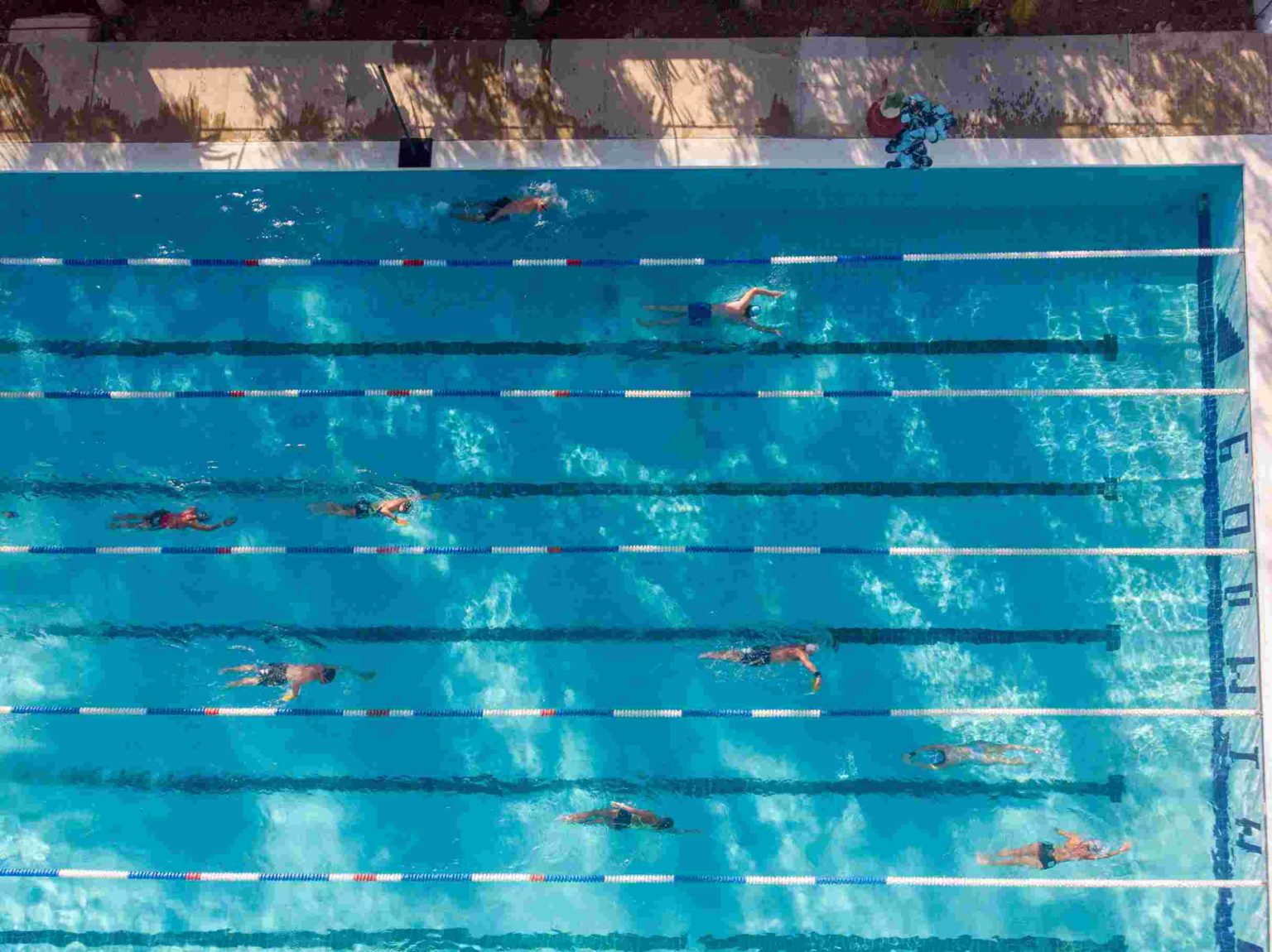 ¿Cómo iniciar a nadar en aguas abiertas? - Journey Sports