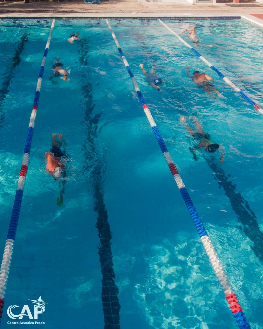 ¿Cómo iniciar a nadar en aguas abiertas? - Journey Sports