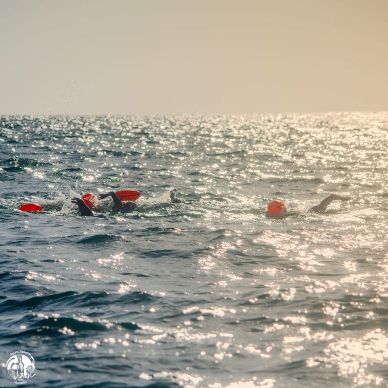 ¿Cómo iniciar a nadar en aguas abiertas? - Journey Sports