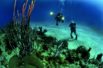 Beneficios del buceo: ventajas para tu salud - Journey Sports