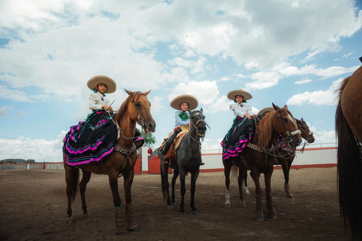 Seguro para caballos deportivos en México - Journey Sports